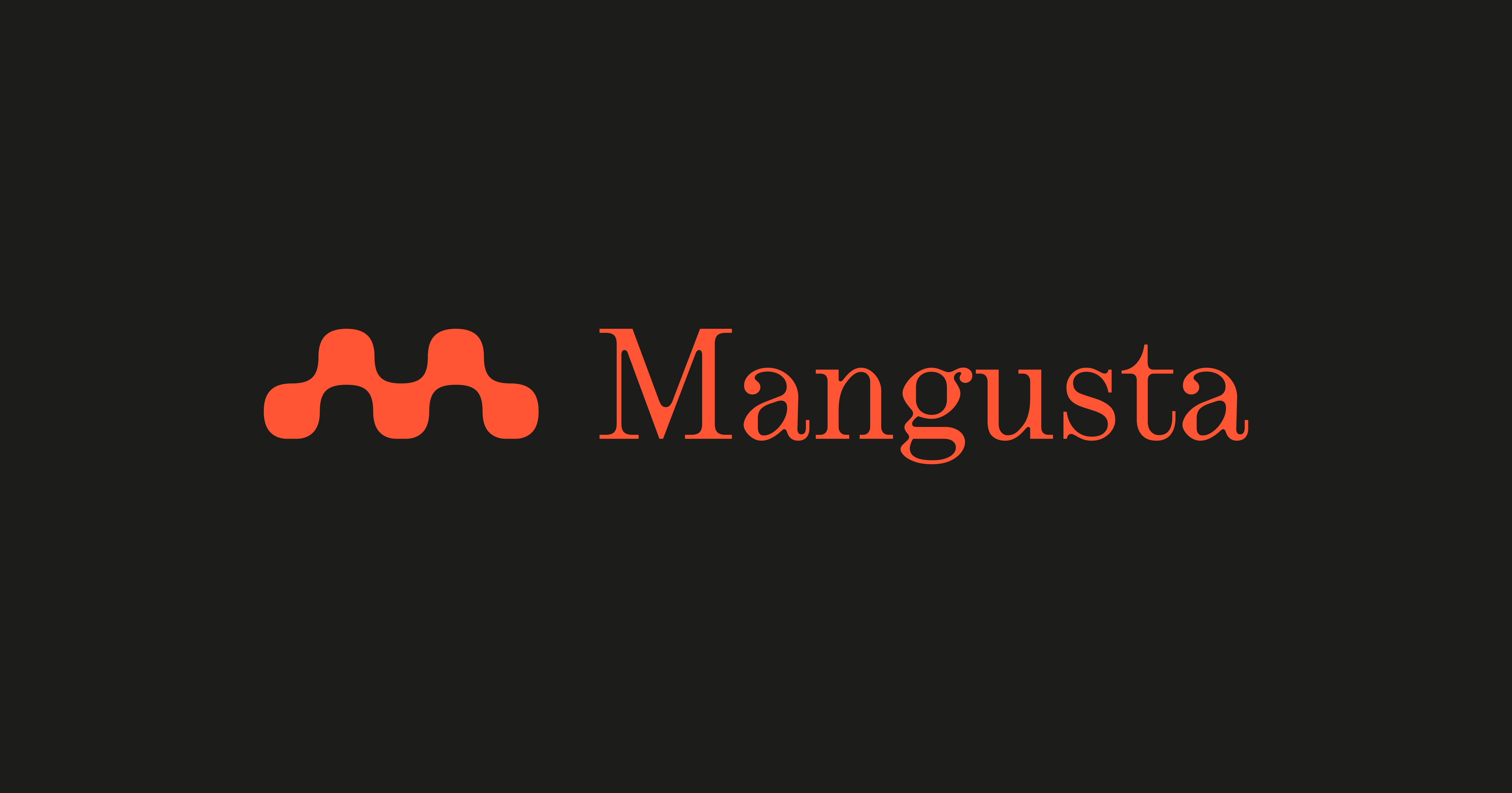 Mangusta Capital - Terms and Conditions